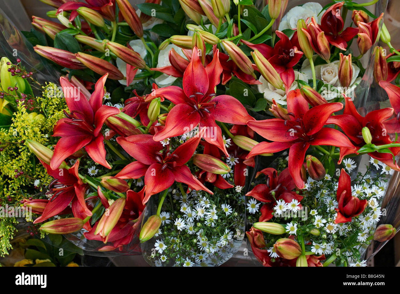 Lily flower market hi-res stock photography and images - Alamy
