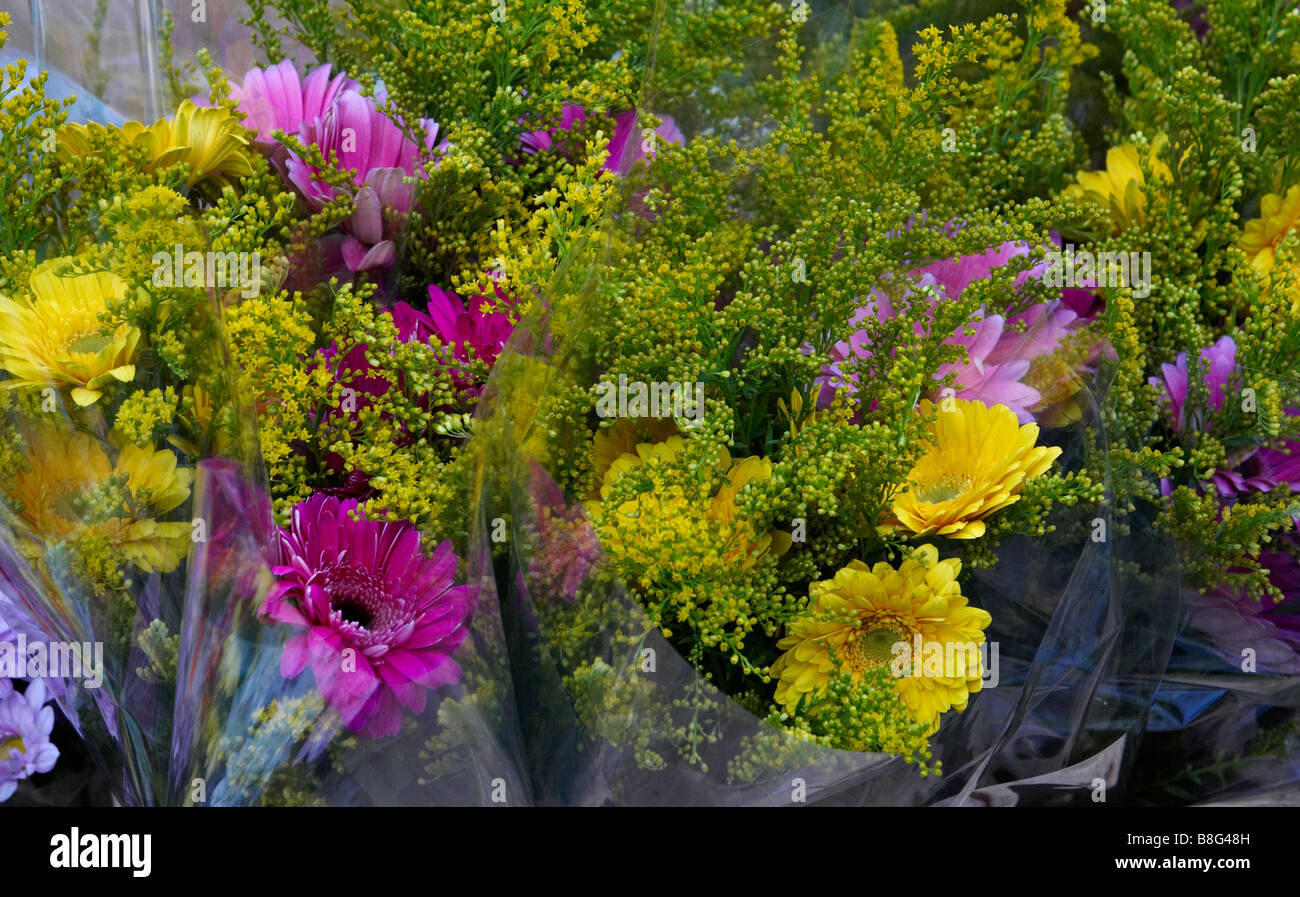 Colorful flowers in the road hi-res stock photography and images - Alamy