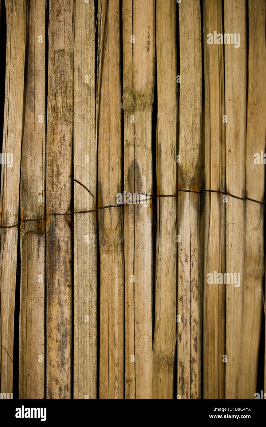 Bamboo screen hi-res stock photography and images - Alamy