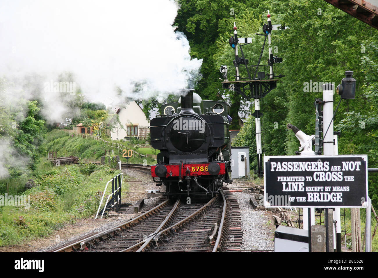 Pannier tank steam engine South Devon Railway Stock Photo - Alamy