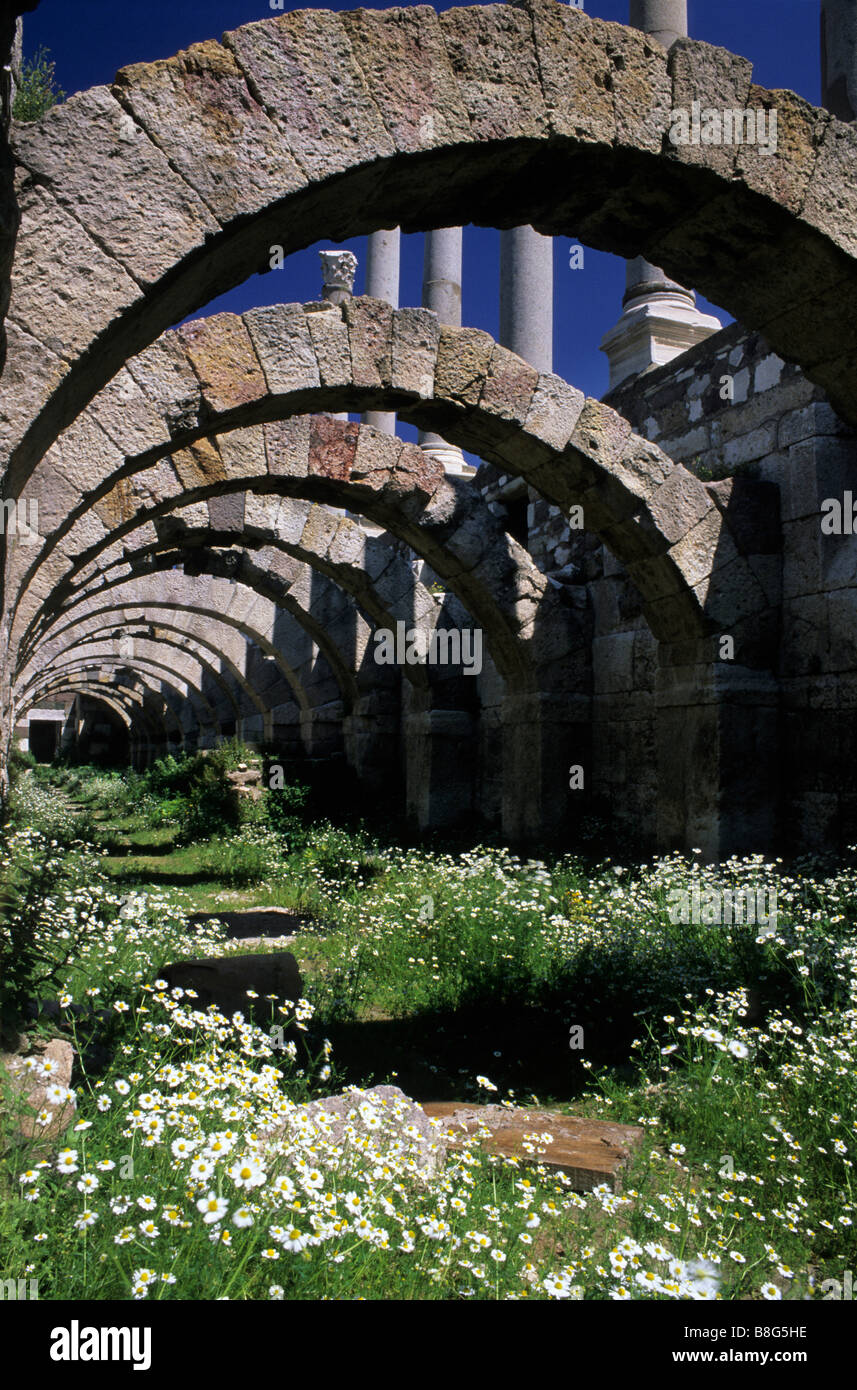 Roman marketplace hi-res stock photography and images - Alamy