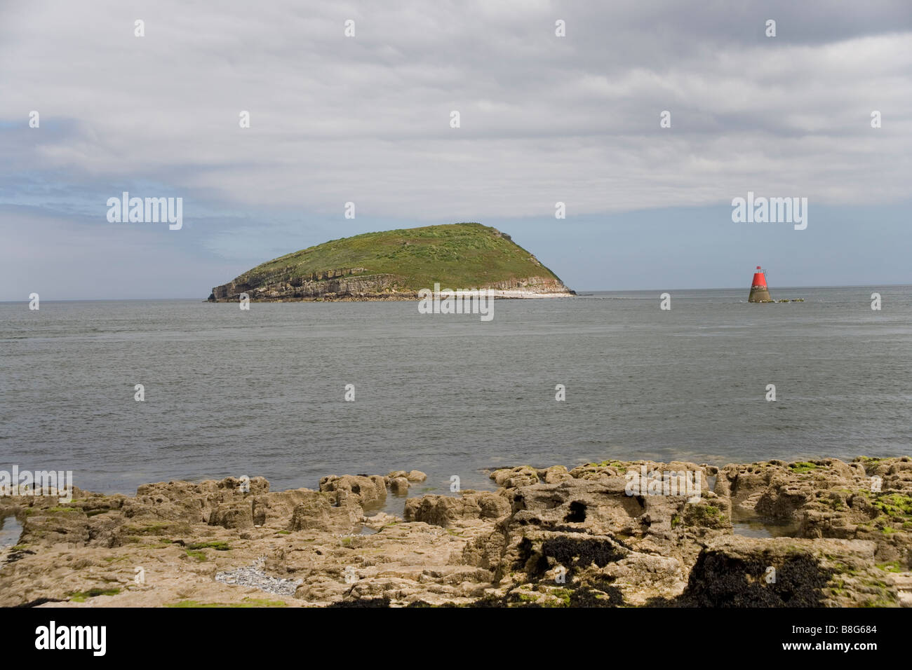 Puffin Island off the coast of Anglesey, North Wales Stock Photo - Alamy