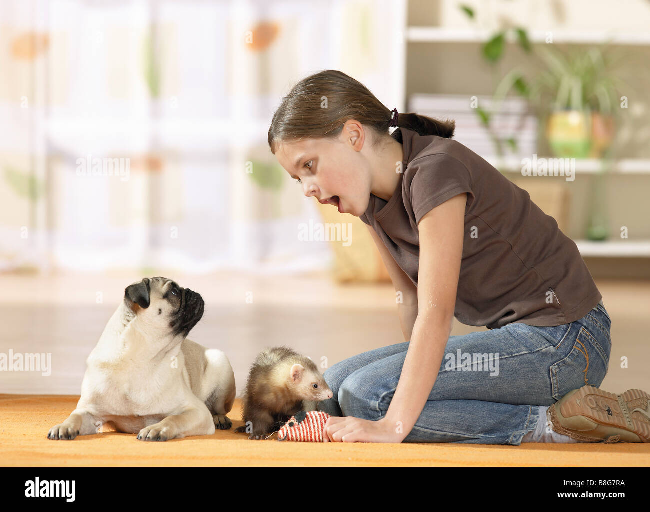 Girl ferret hi-res stock photography and images - Alamy