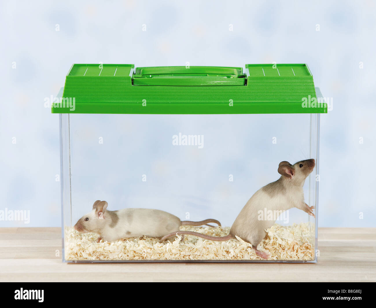 Transportbox hi-res stock photography and images - Alamy