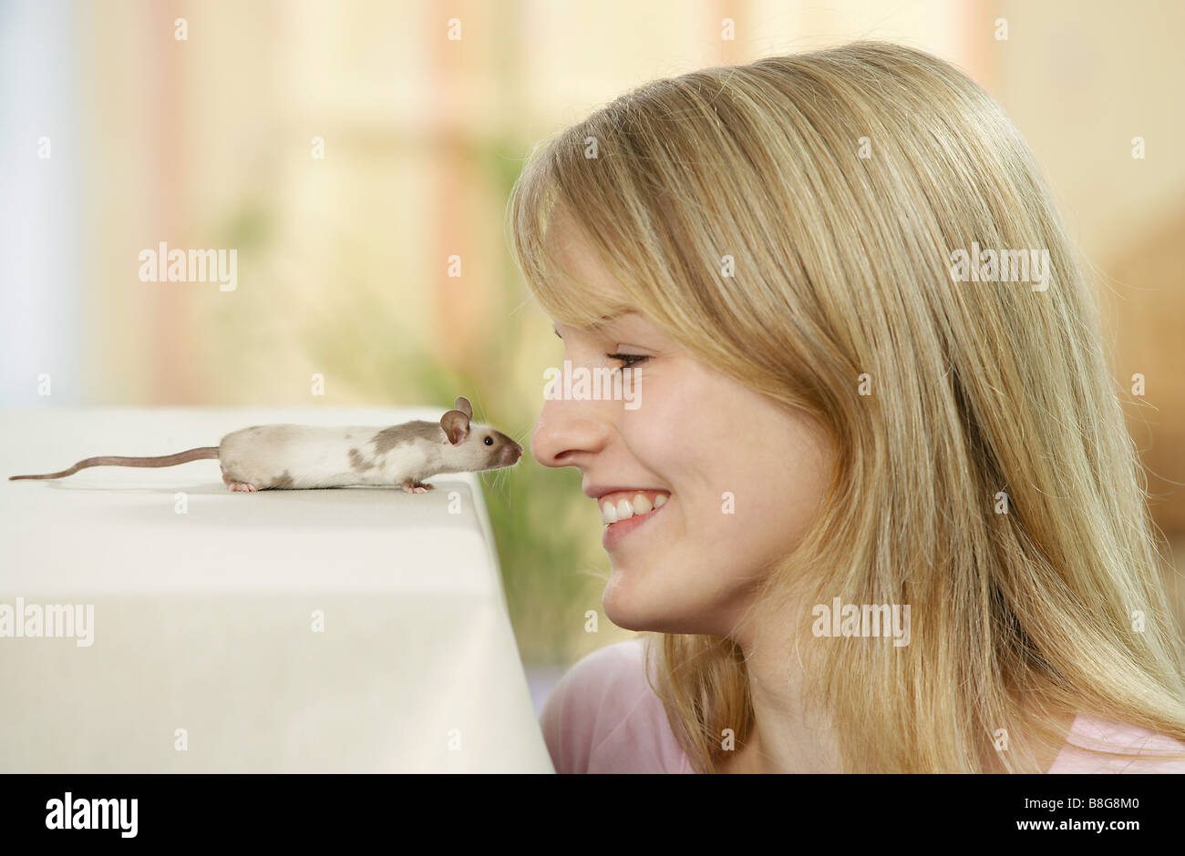 Human sized mouse hi-res stock photography and images - Alamy