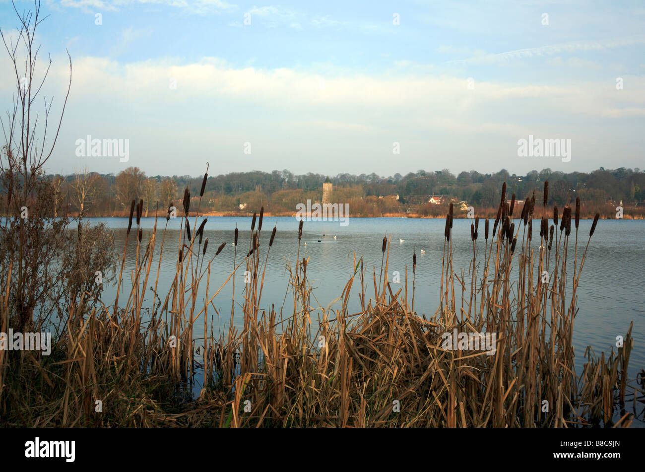 Whitlingham Country Park Norwich High Resolution Stock Photography and ...