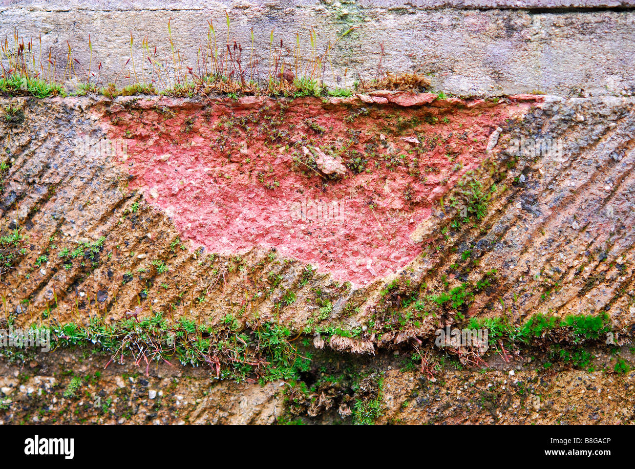 Frost weathering hi-res stock photography and images - Alamy