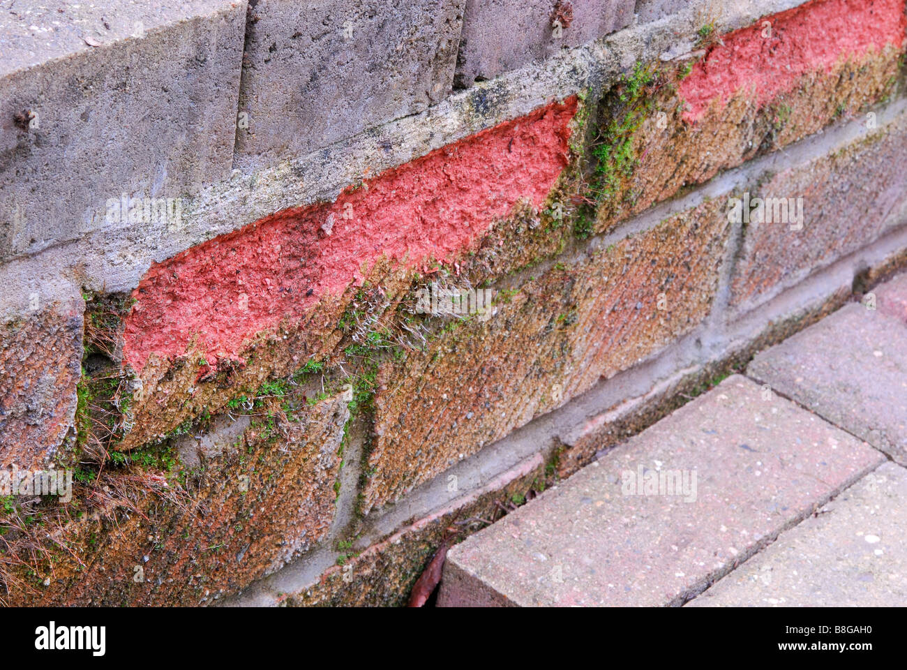 Effects of frost shattering on moss-covered house brick Stock Photo - Alamy