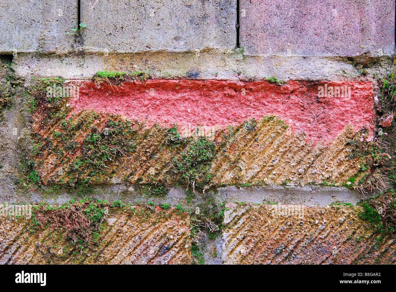 Effects of frost shattering on moss-covered house brick Stock Photo - Alamy