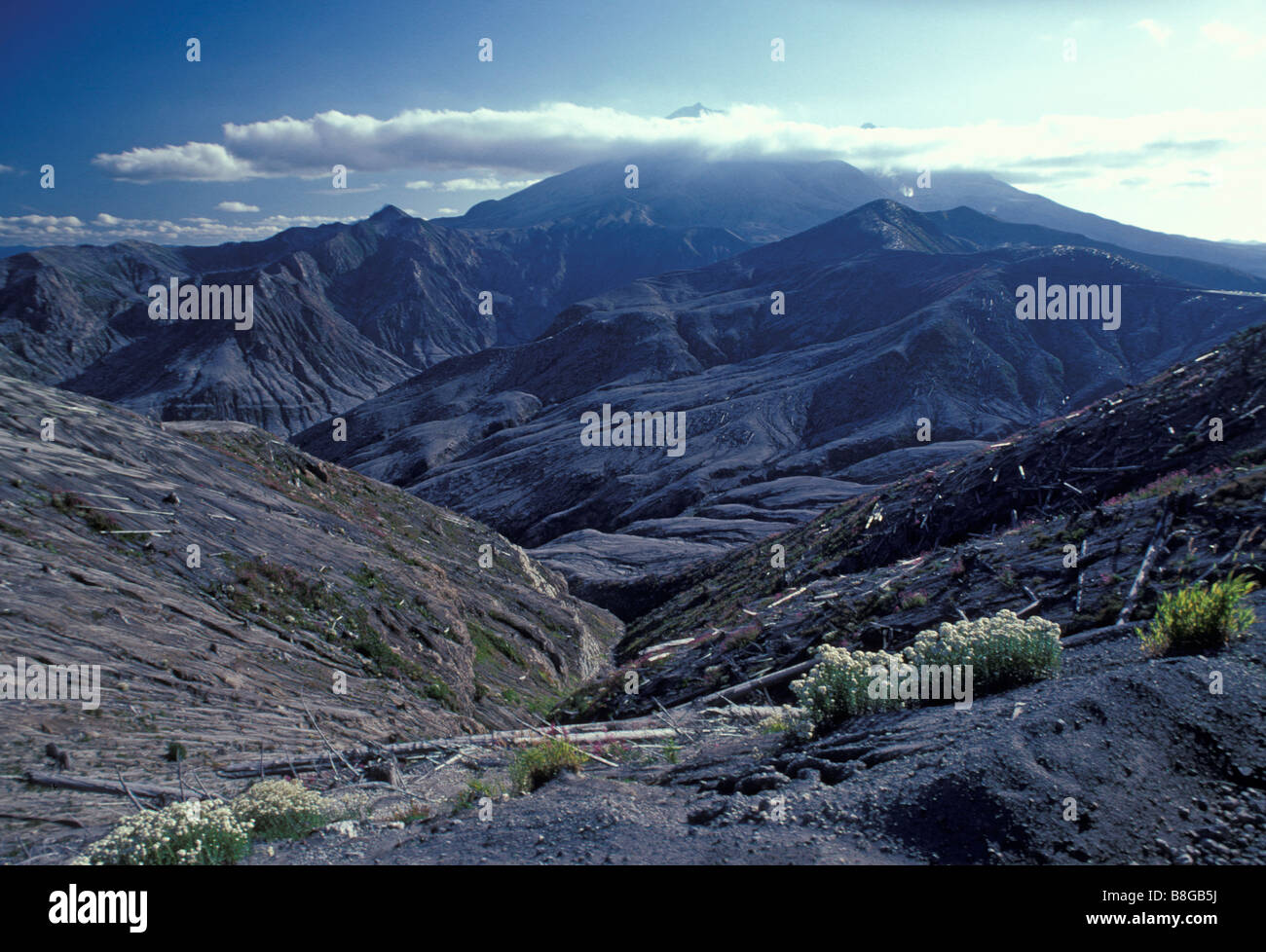 Mt. St. Helens after eruption Stock Photo - Alamy