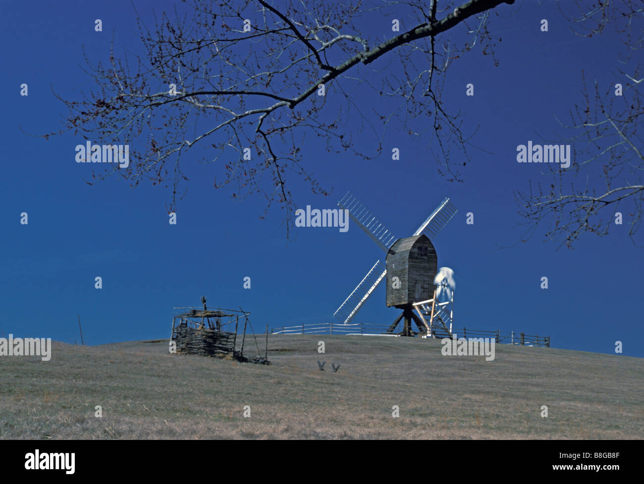 Windmill on Flowerdew Hundred Plantation Stock Photo - Alamy