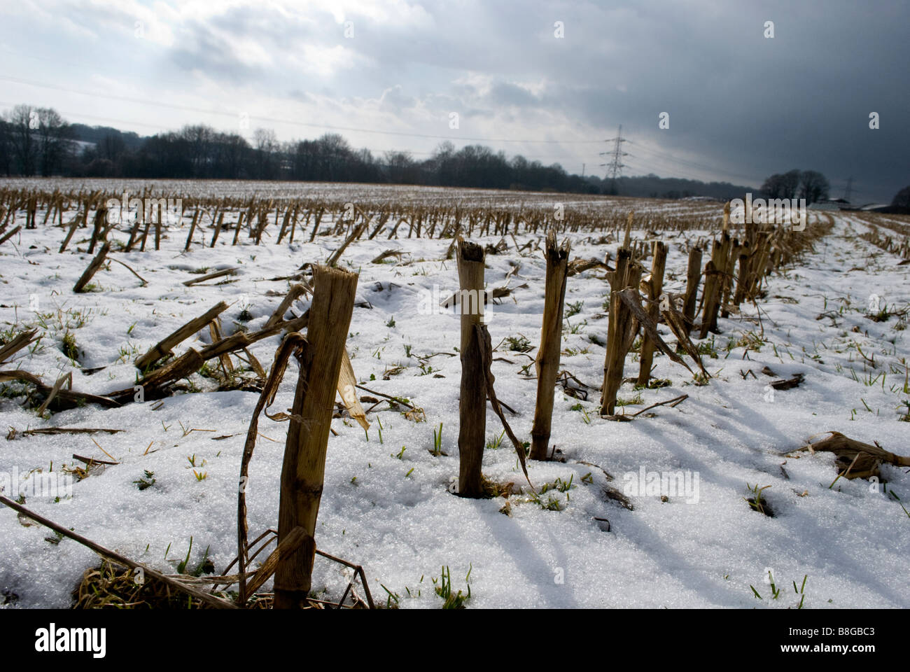 Particles snow hi-res stock photography and images - Alamy