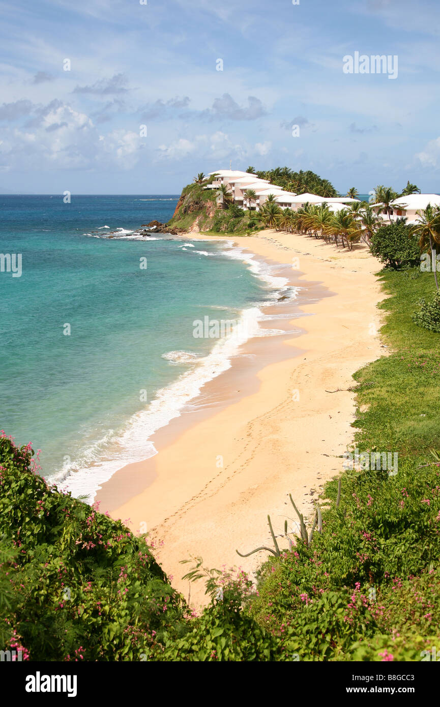 View on a paradise beach on the Caribbean isle Antigua in Antigua and ...