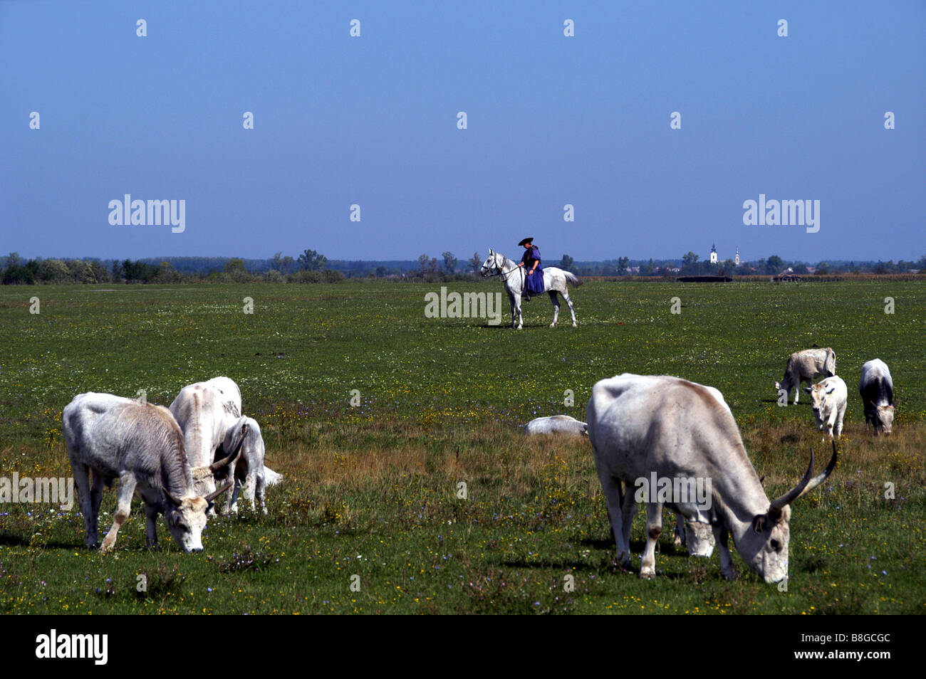 Hungary chicos cowboy farm in hi-res stock photography and images - Alamy