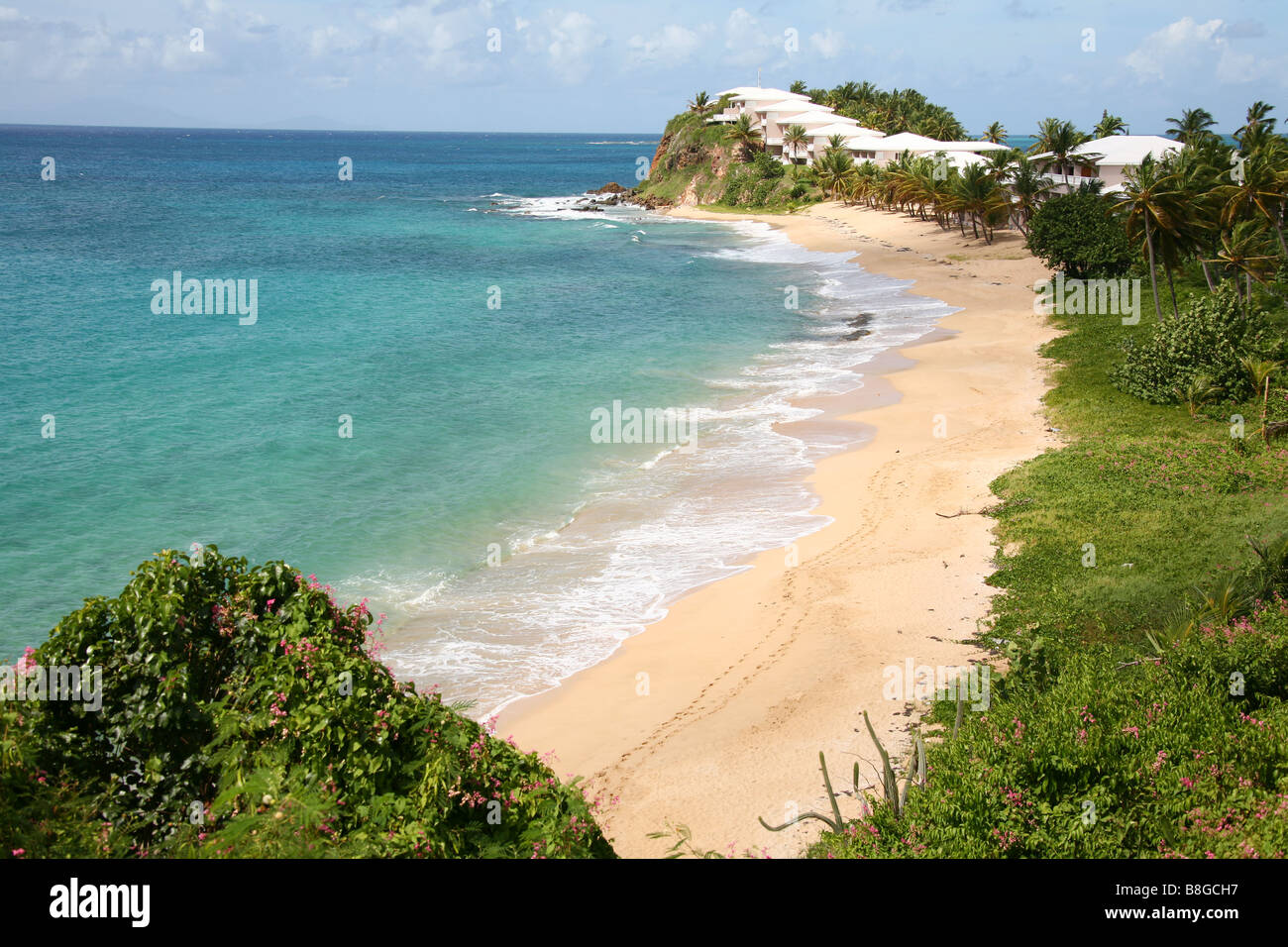 View on a paradise beach on the Caribbean isle Antigua in Antigua and ...