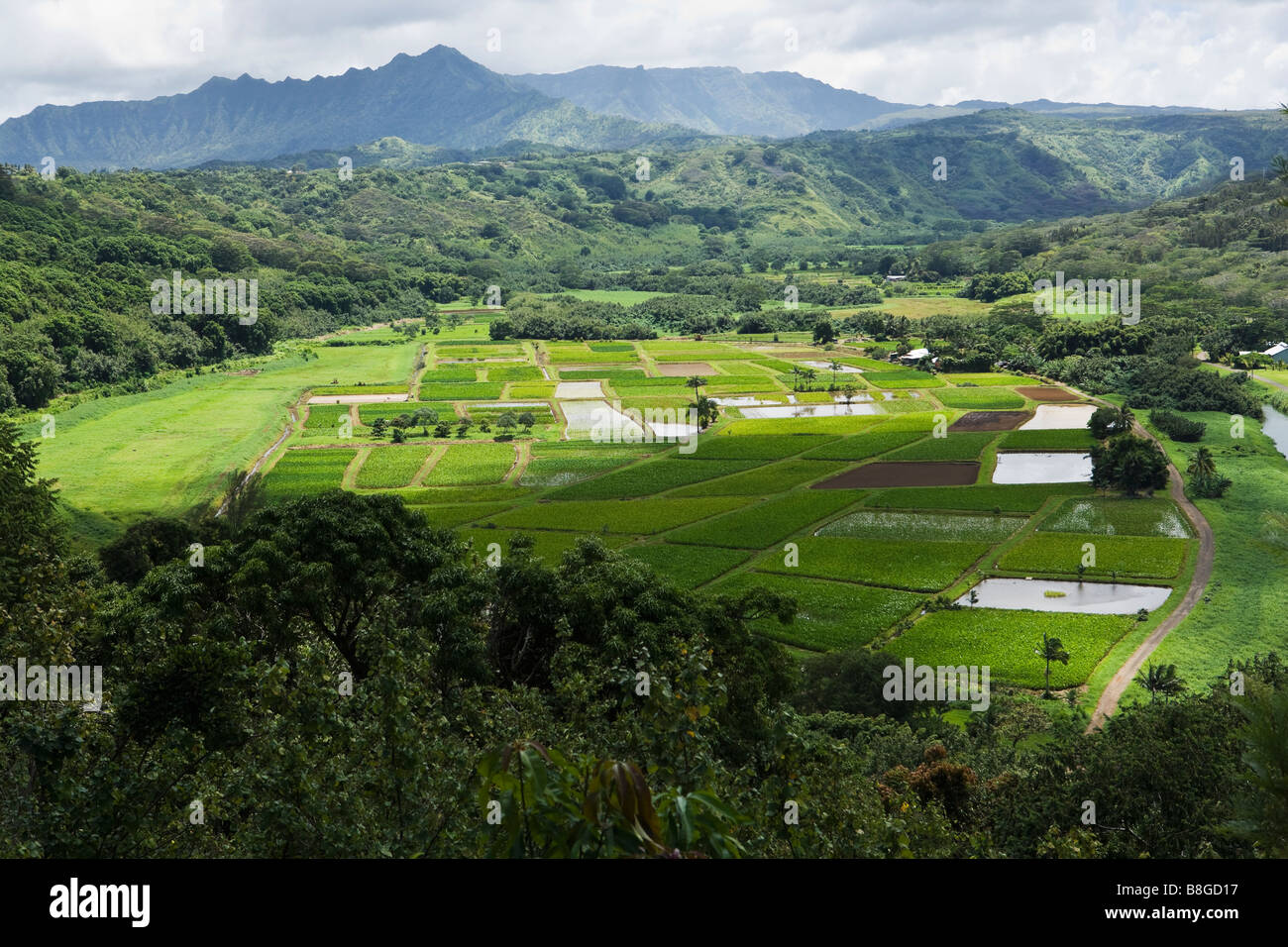 Taro river hi-res stock photography and images - Alamy