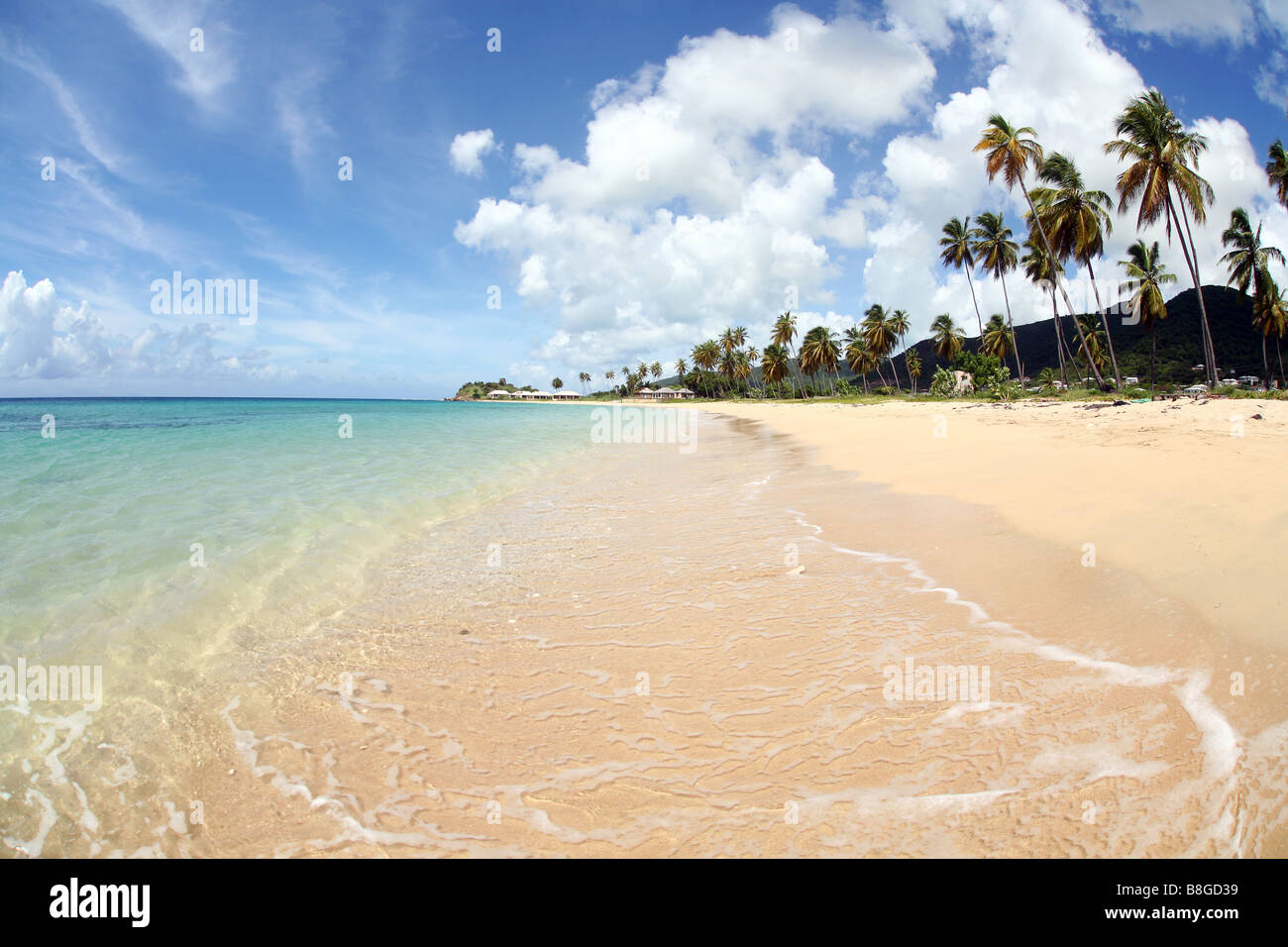 View on a paradise beach on the Caribbean isle Antigua in Antigua and ...