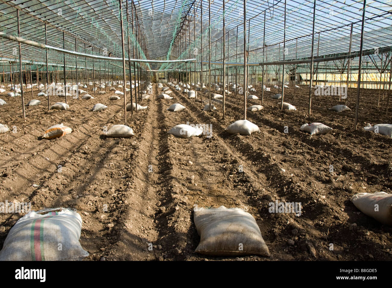Turkey Antalya Province A greenhouse Stock Photo - Alamy