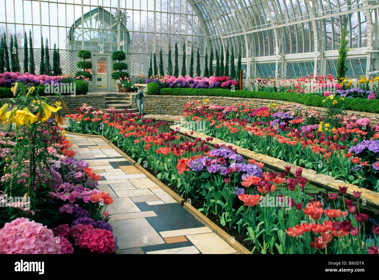 SPRING BLOOM DISPLAY AT THE COMO PARK CONSERVATORY IN ST. PAUL ...