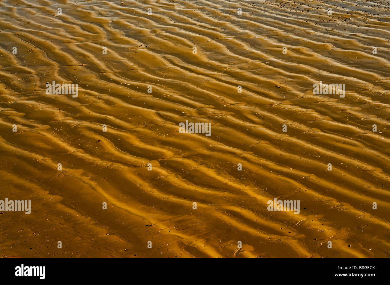 Sand ripple formation hi-res stock photography and images - Alamy