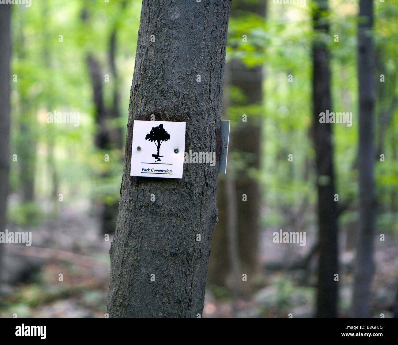 A white hiking trail marker Stock Photo - Alamy