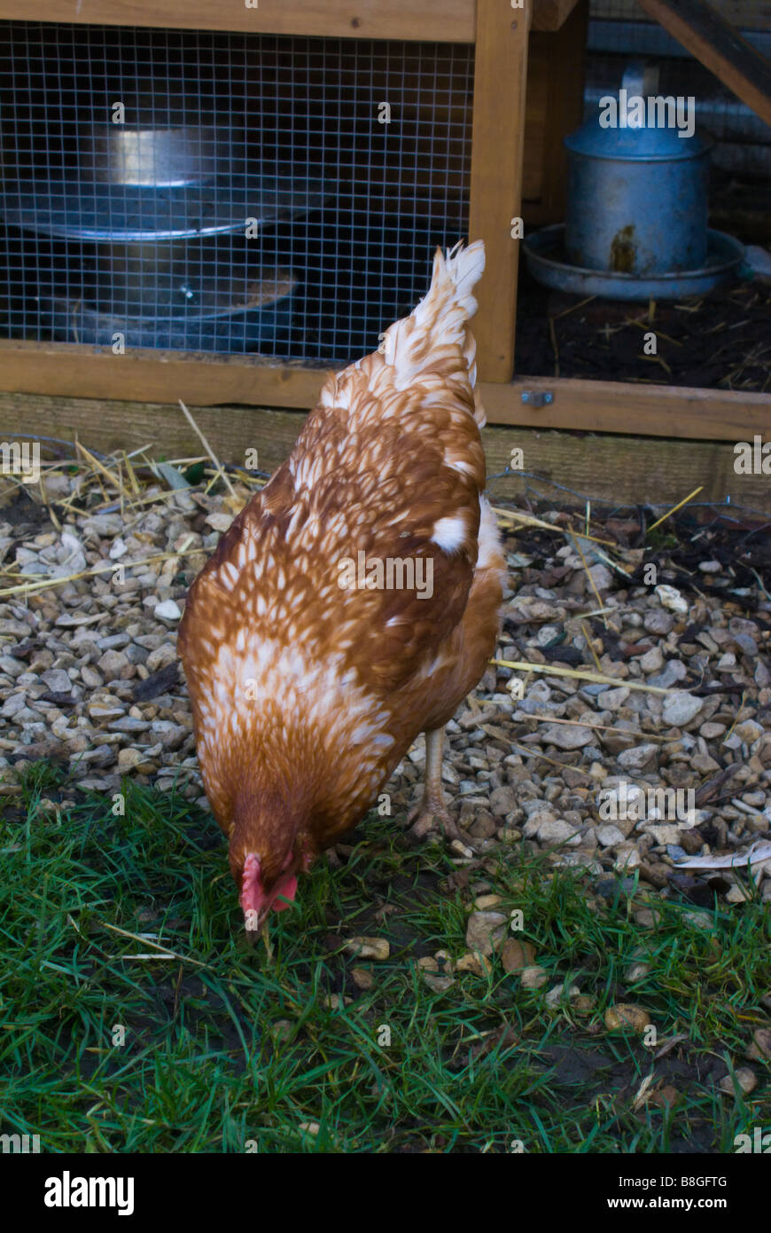 Loman hi-res stock photography and images - Alamy