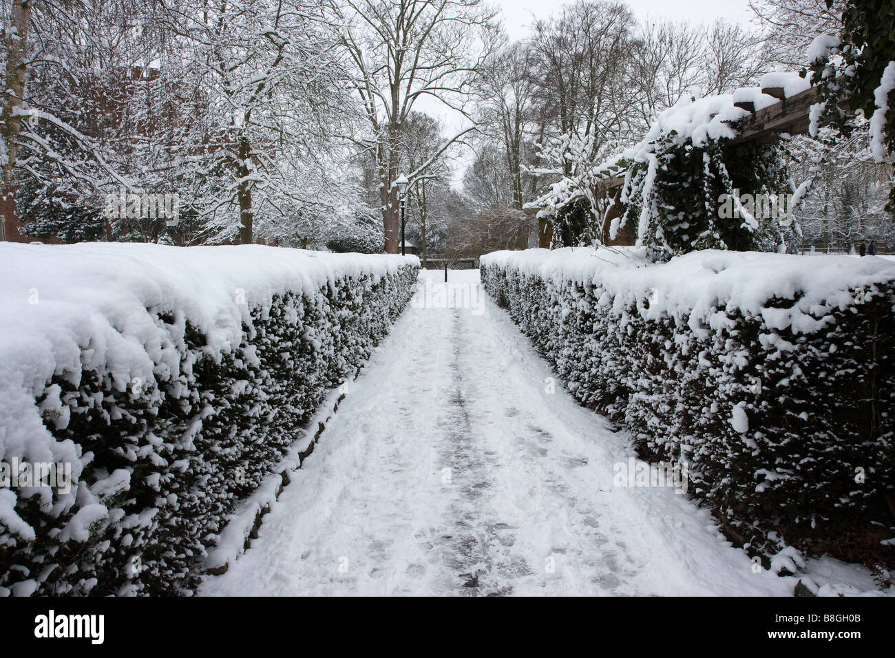 Snow Covered Pathway Stock Photo - Alamy