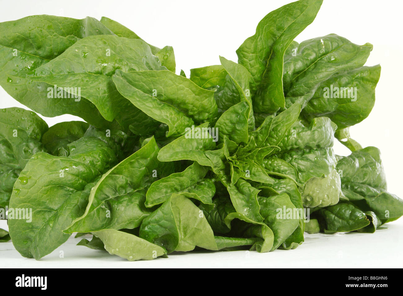 Sample of spinach on a white background Stock Photo - Alamy