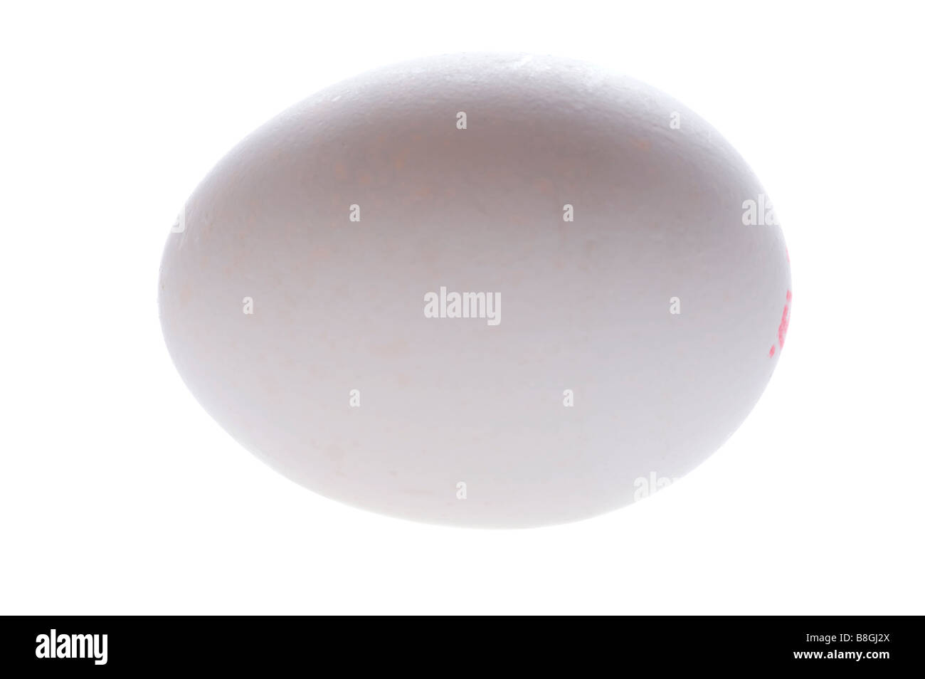 object on white food egg macro Stock Photo - Alamy