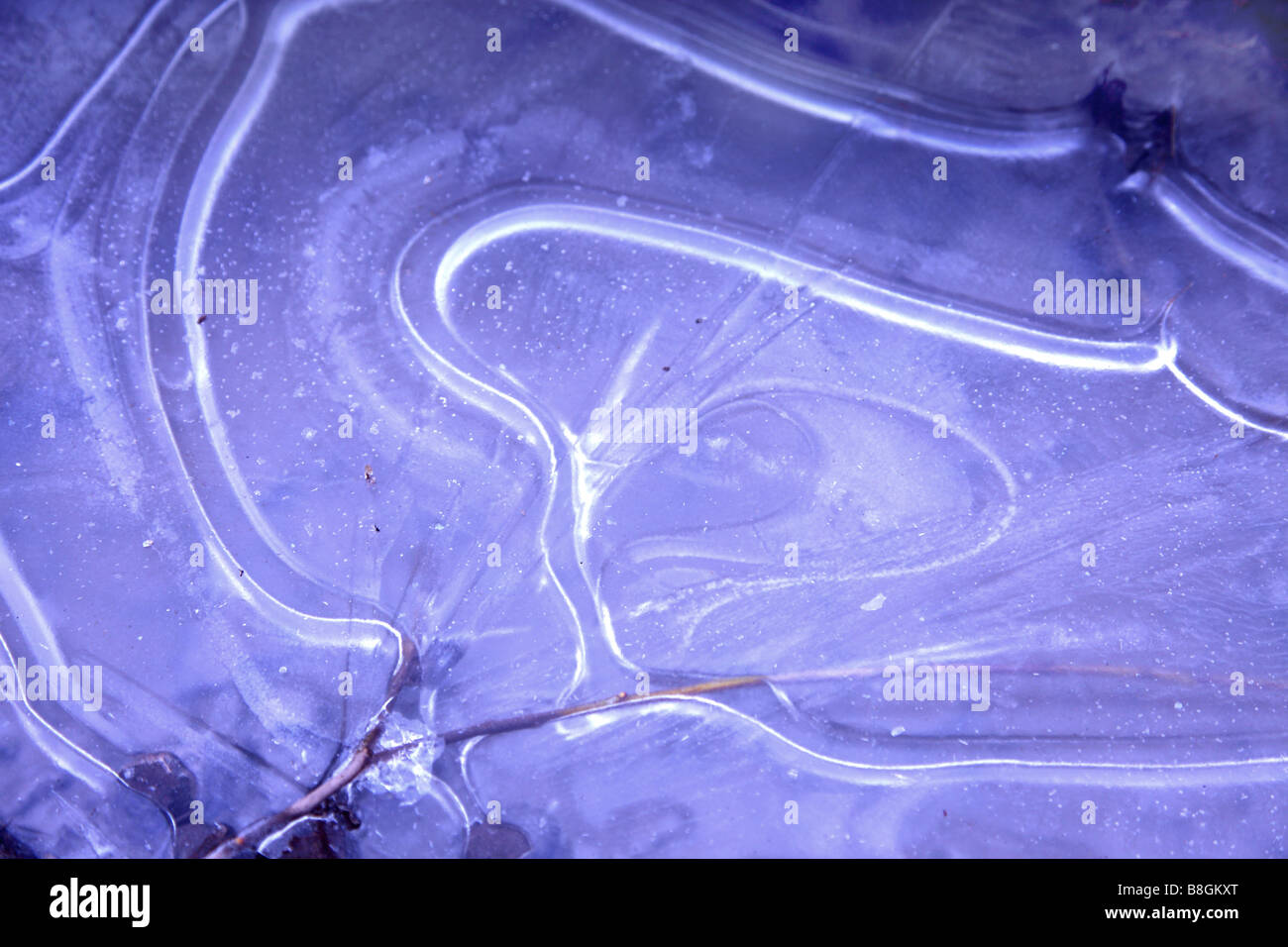 frozen puddle close up Stock Photo - Alamy