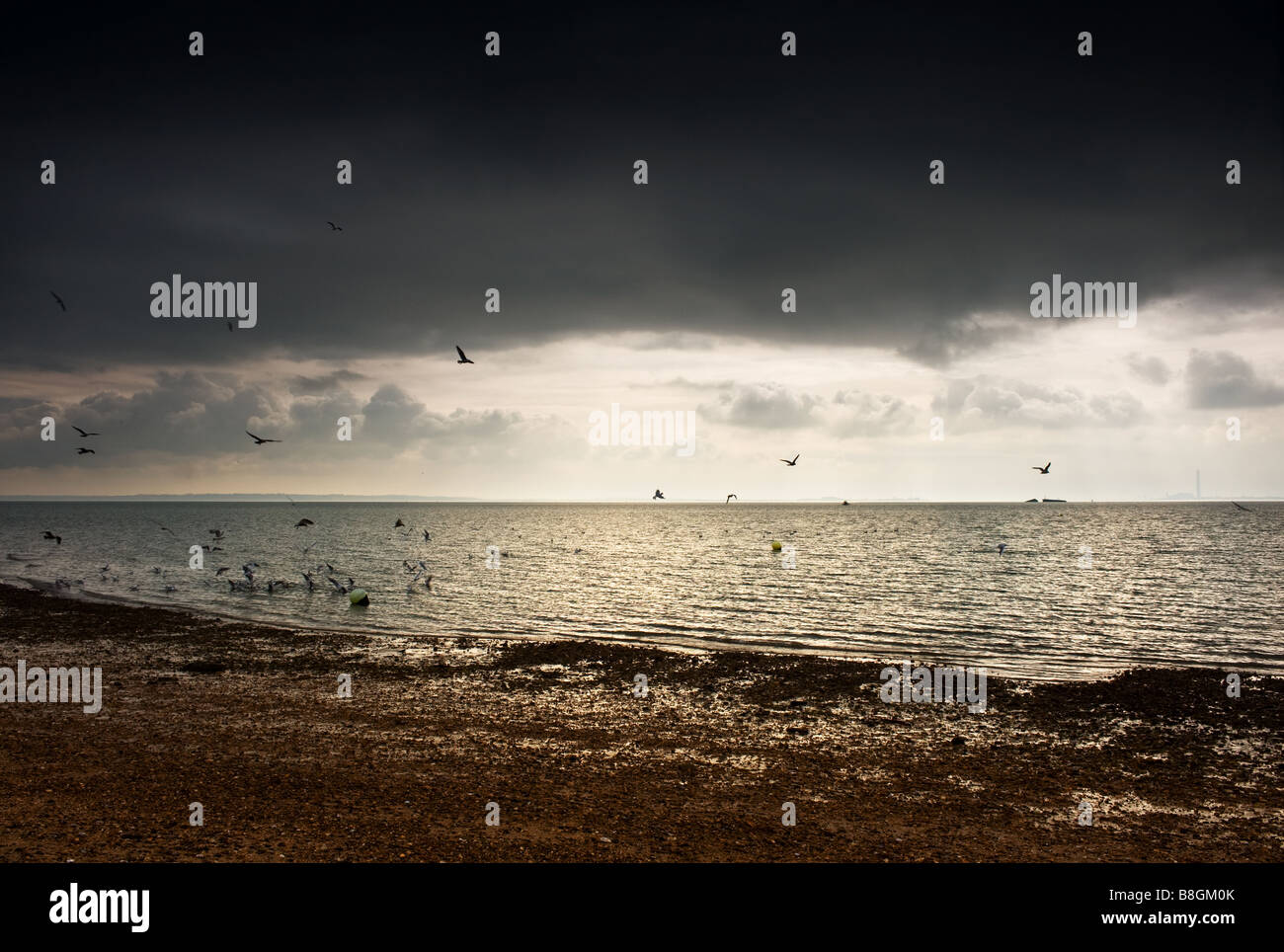 Shoebury essex hi-res stock photography and images - Alamy