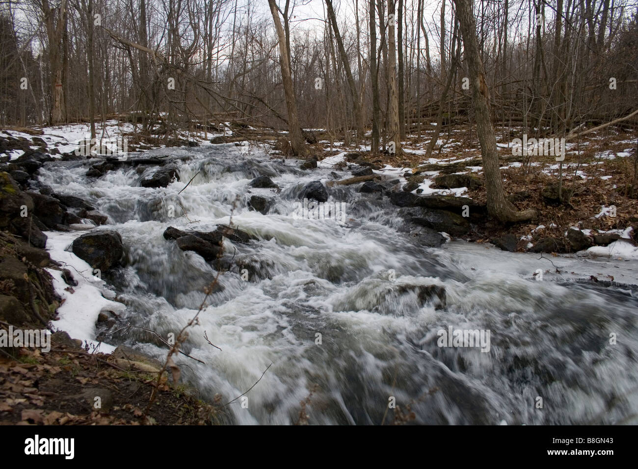 Stream leading to waterfall at Halton Falls Provincial Park Stock Photo ...