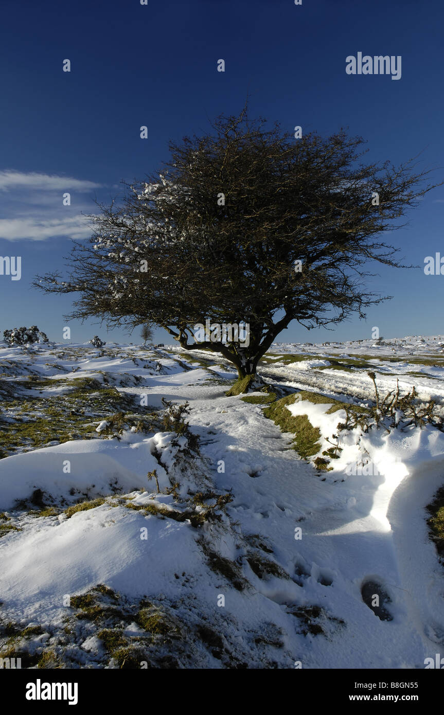 Bodmin moor cornwall snow hi-res stock photography and images - Alamy