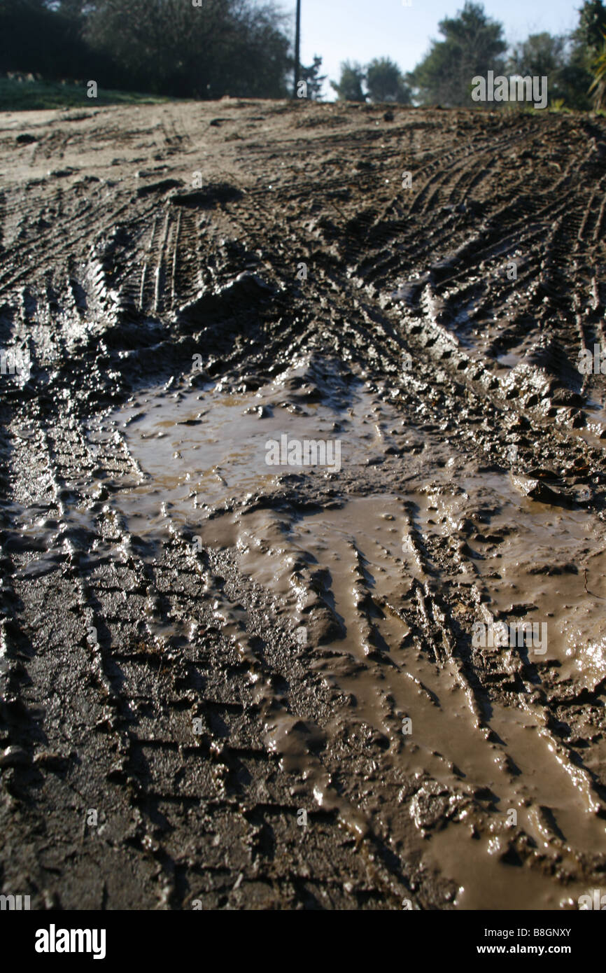 many tyre tracks crossing in mud in field in countryside Stock Photo ...