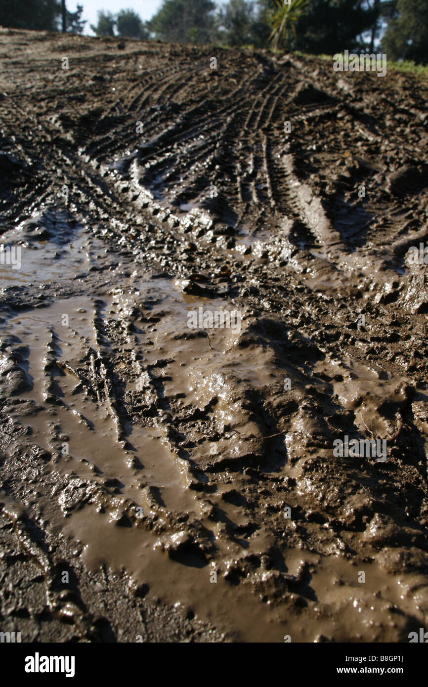 many tyre tracks crossing in mud in field in countryside Stock Photo ...