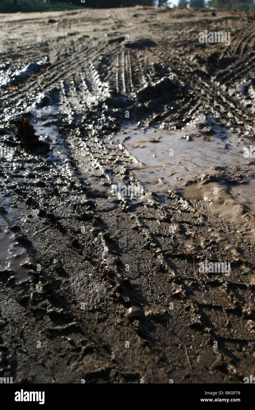 many tyre tracks crossing in mud in field in countryside Stock Photo ...