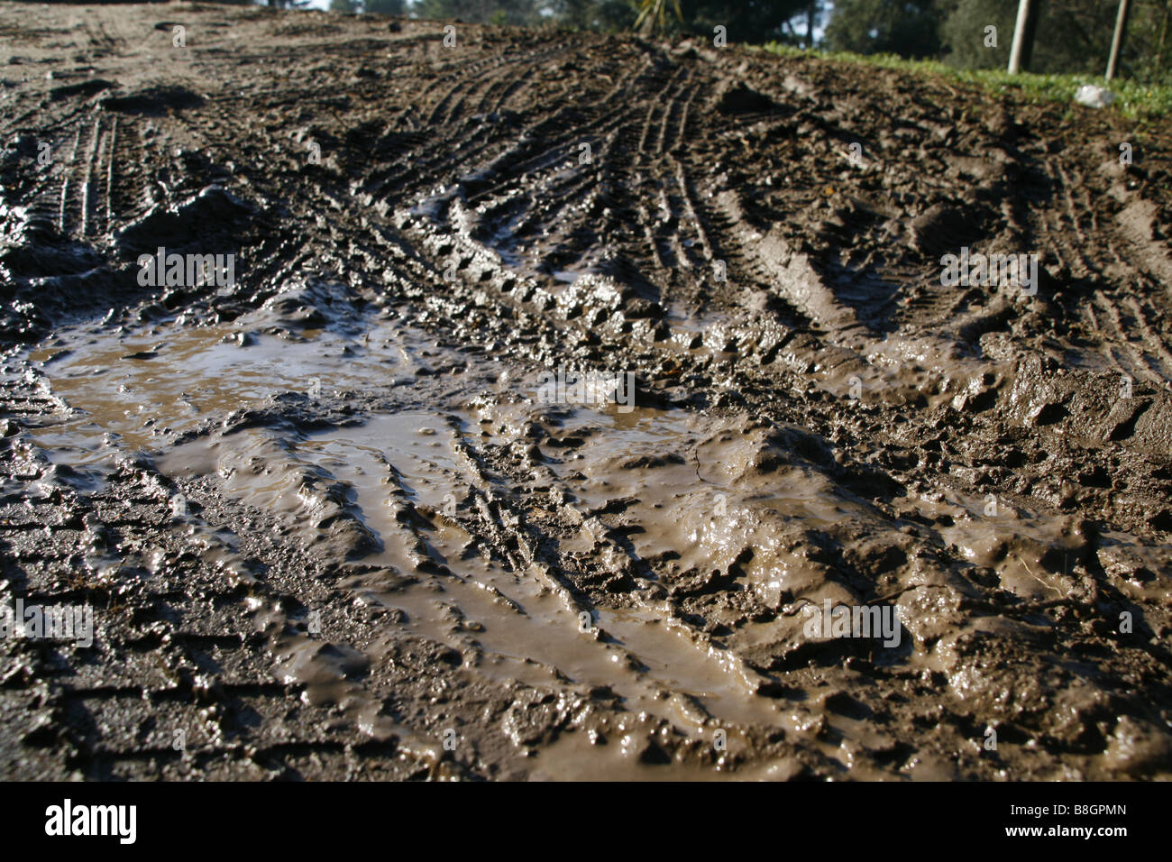 many tyre tracks crossing in mud in field in countryside Stock Photo ...