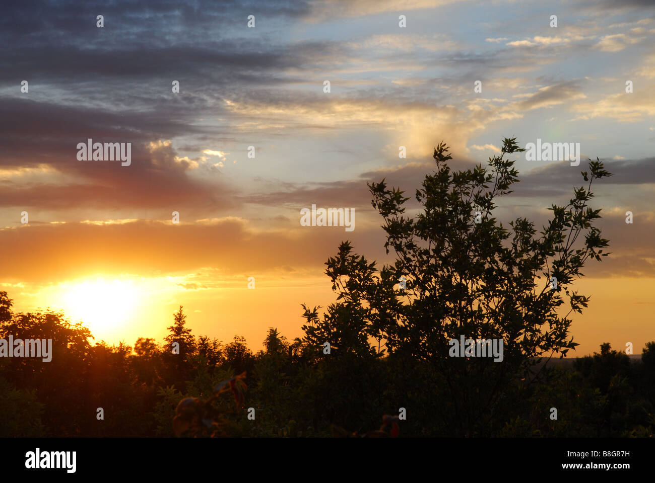Skyscape over forest hi-res stock photography and images - Alamy