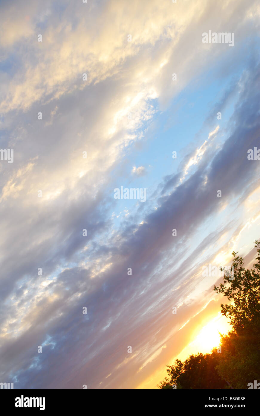 Setting sun over a forest landscape Stock Photo - Alamy