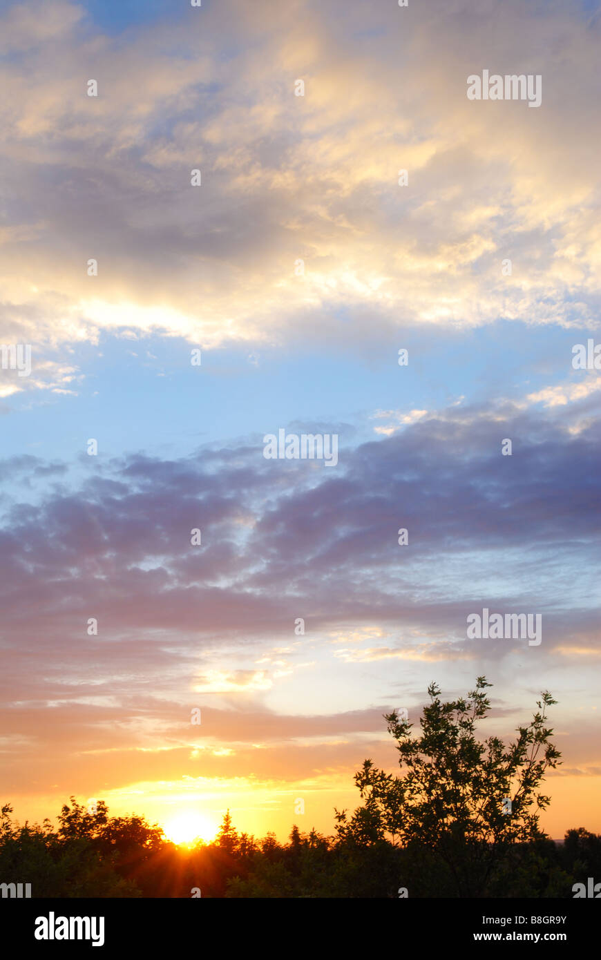 Setting sun over a forest landscape Stock Photo - Alamy