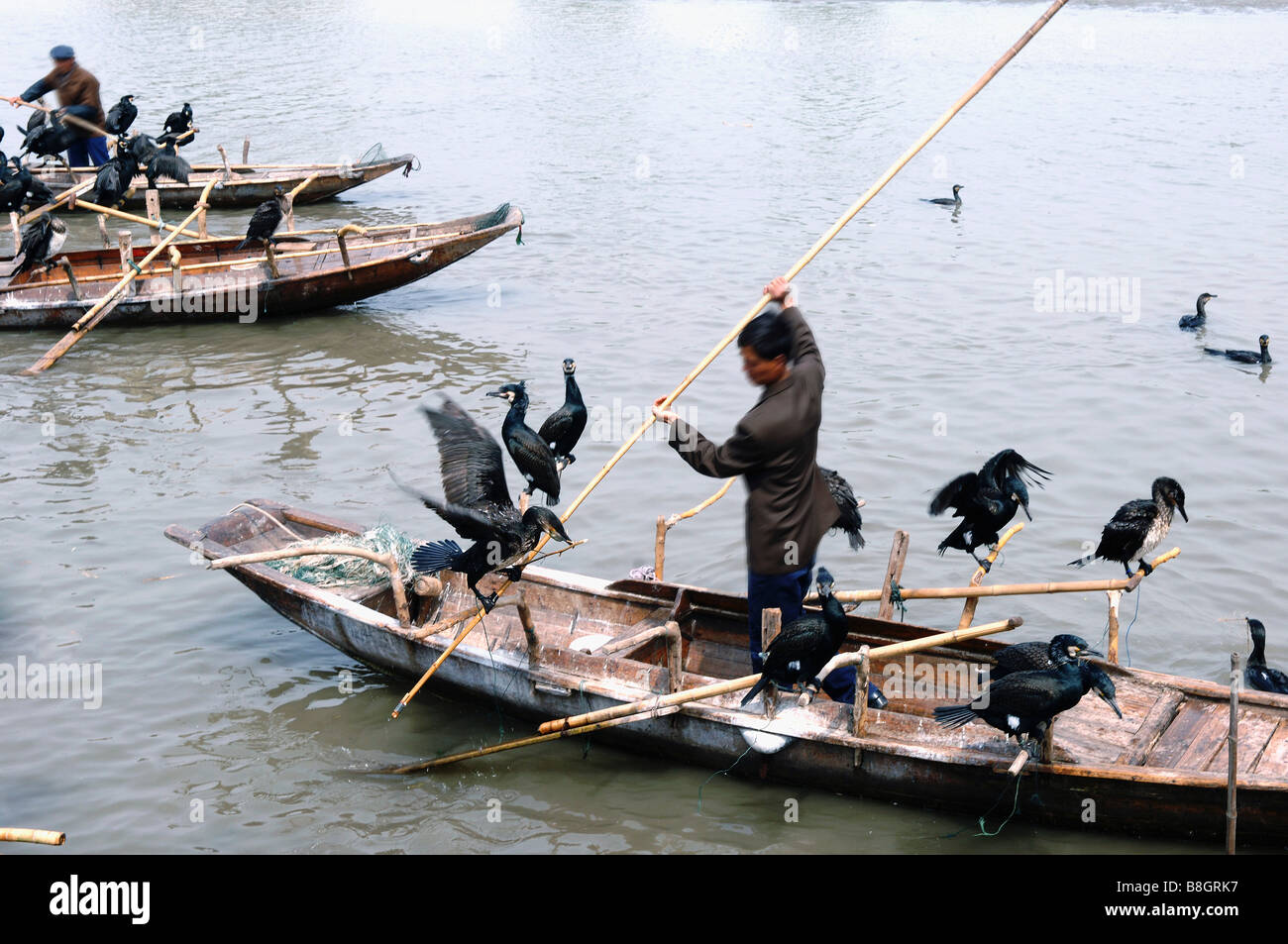 Chinese Fisher On Boat Stock Photo - Alamy