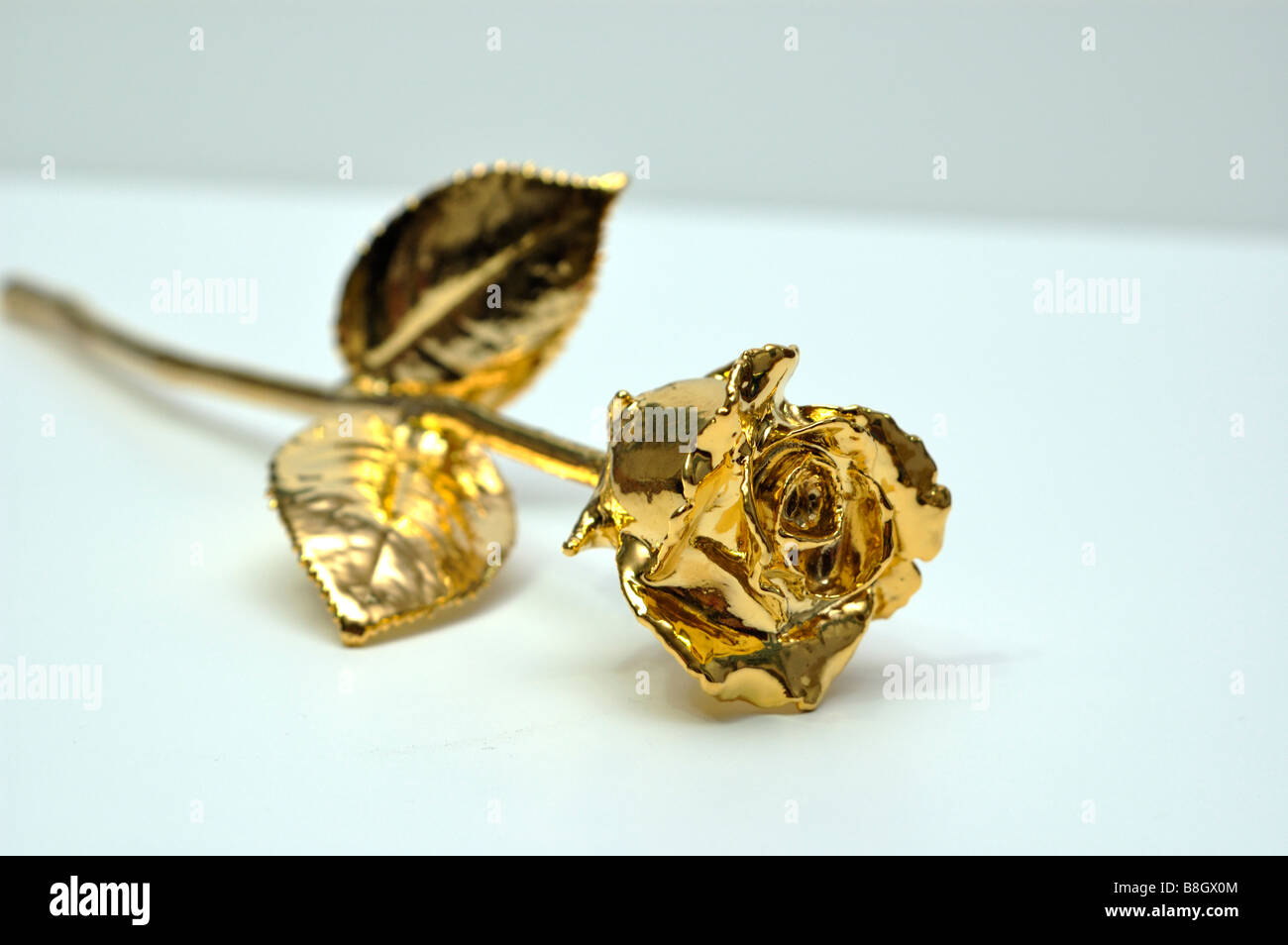 Closeup of a gold plated rose Stock Photo - Alamy