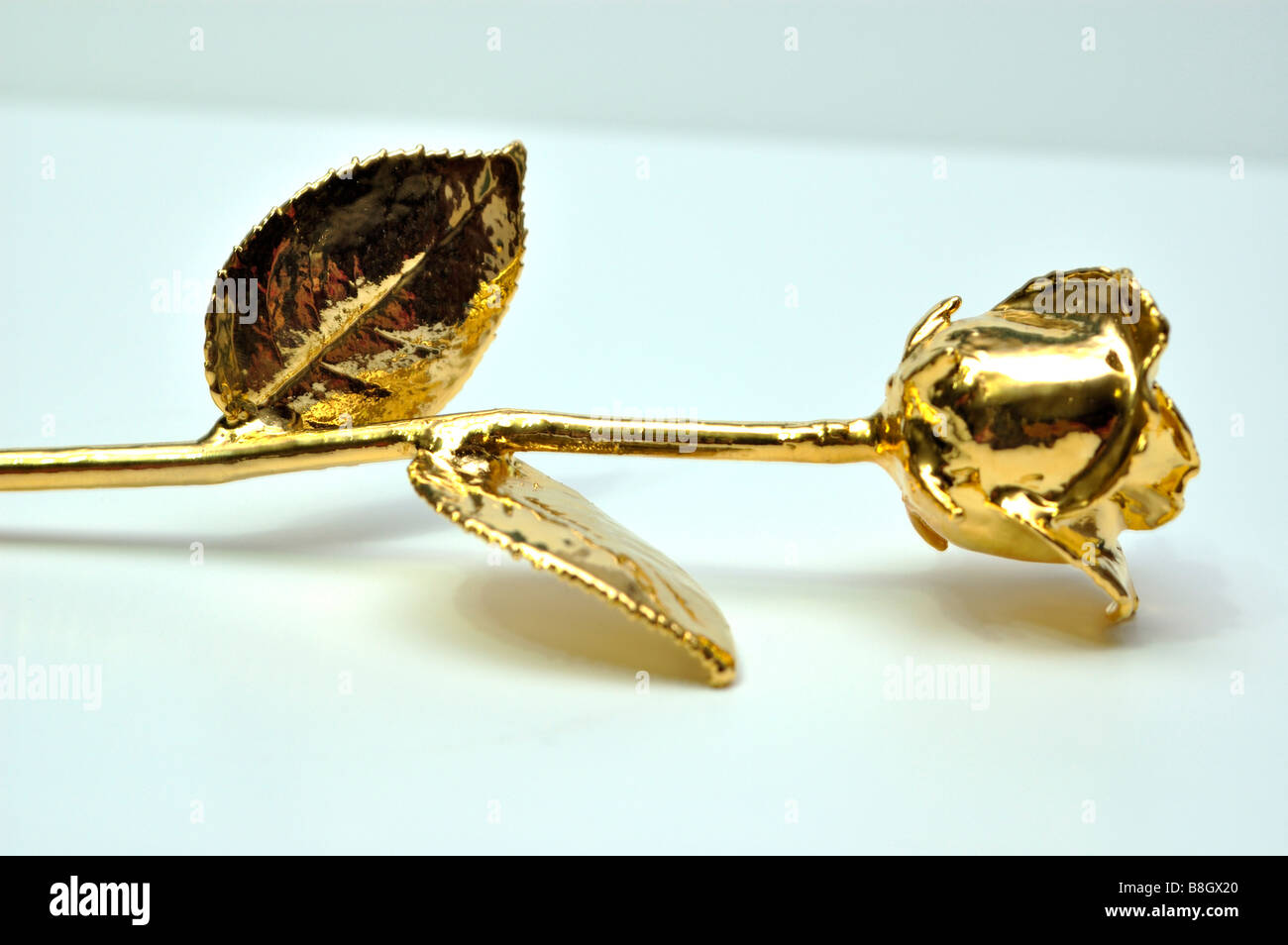 Closeup of a gold plated rose Stock Photo - Alamy