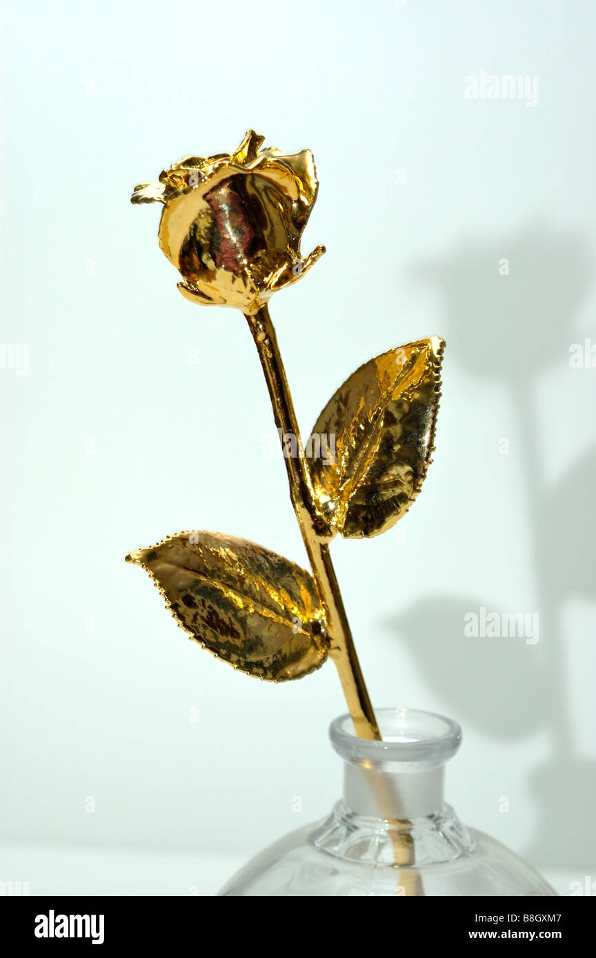 Closeup of a gold plated rose Stock Photo - Alamy