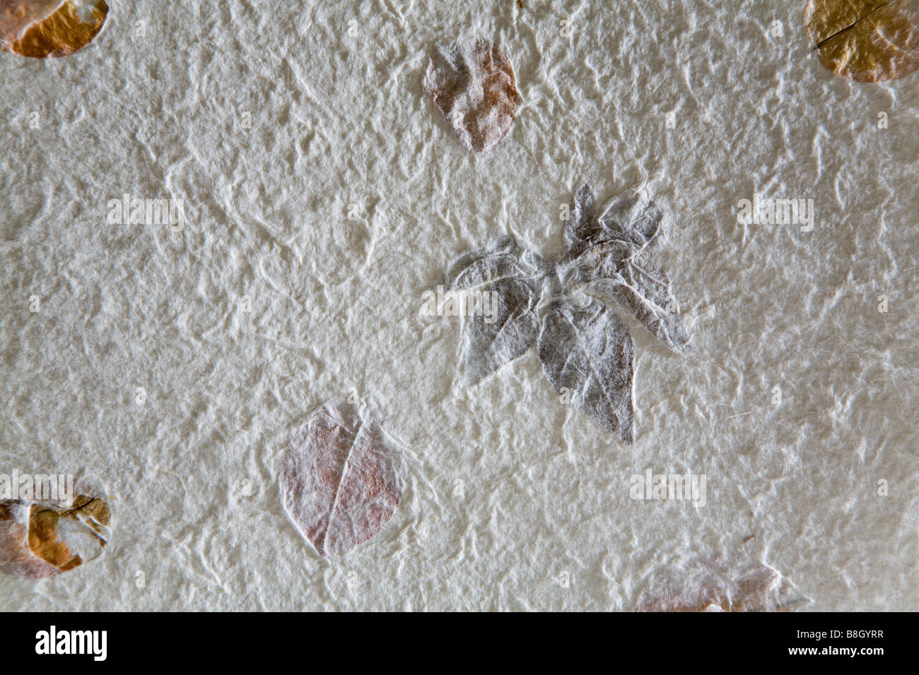 Paper frost hi-res stock photography and images - Alamy