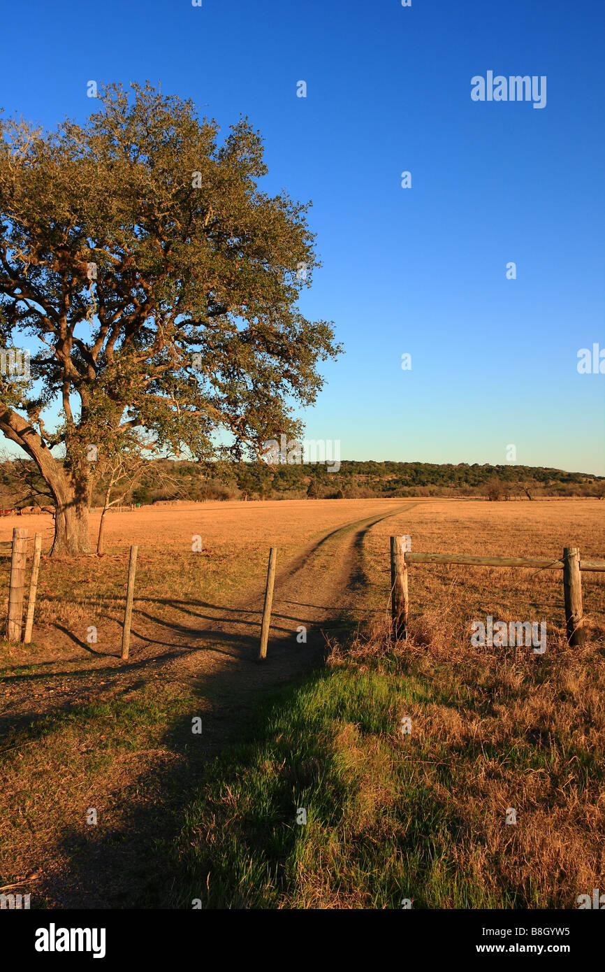 Texas hill country scenery hi-res stock photography and images - Alamy