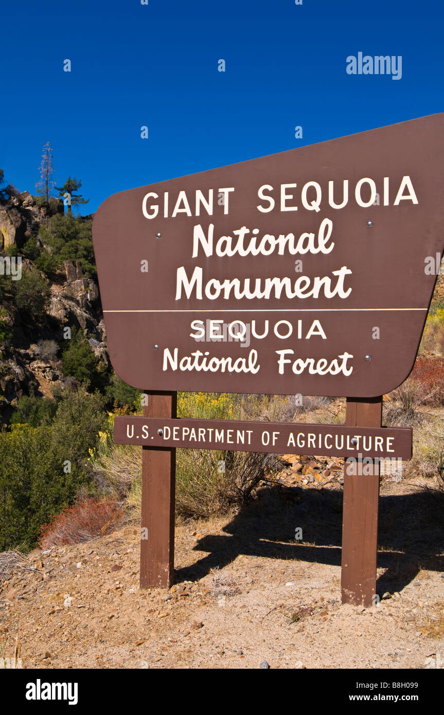 Giant sequoia national monument hi-res stock photography and images - Alamy