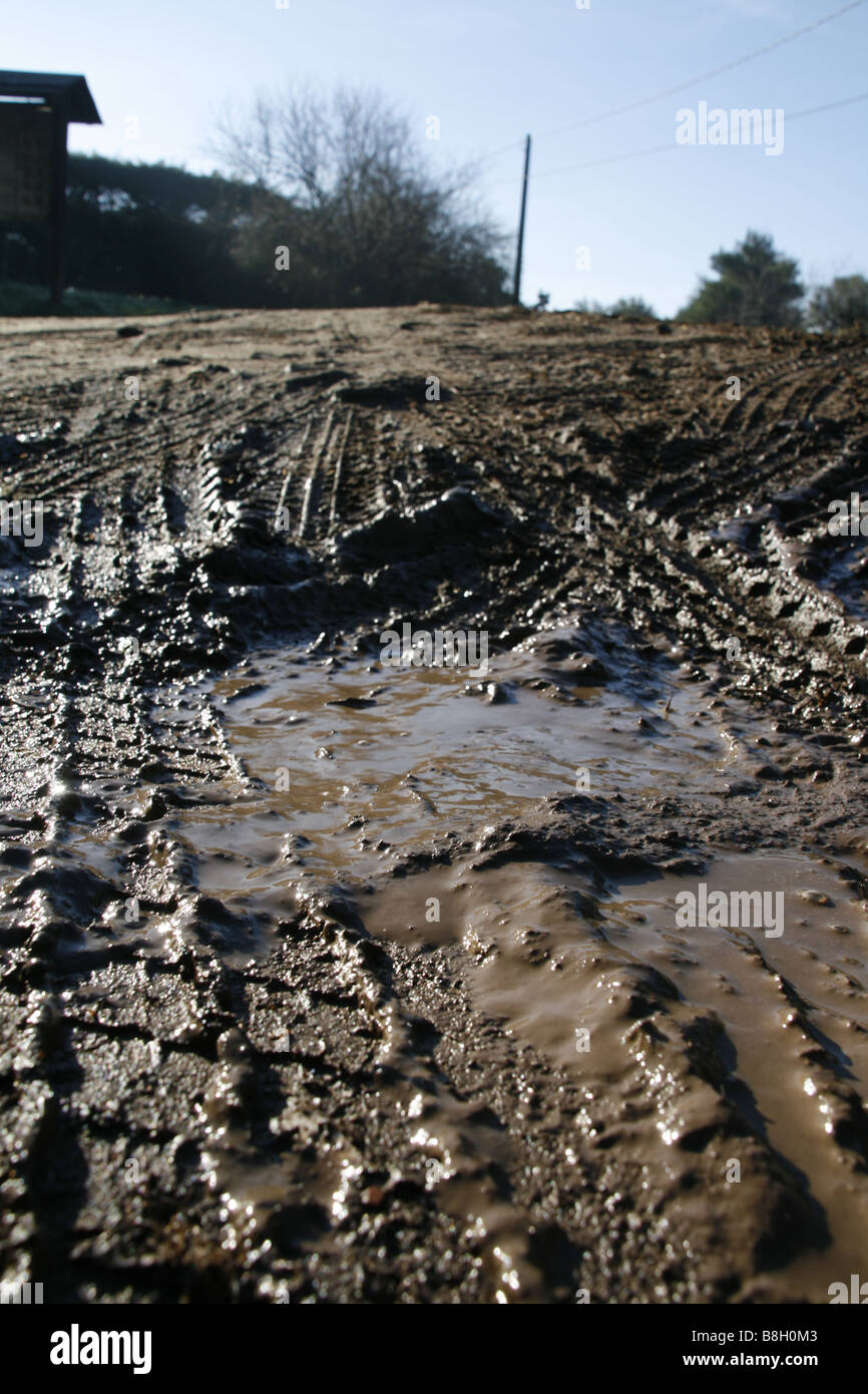 many tyre tracks crossing in mud in field in countryside Stock Photo ...