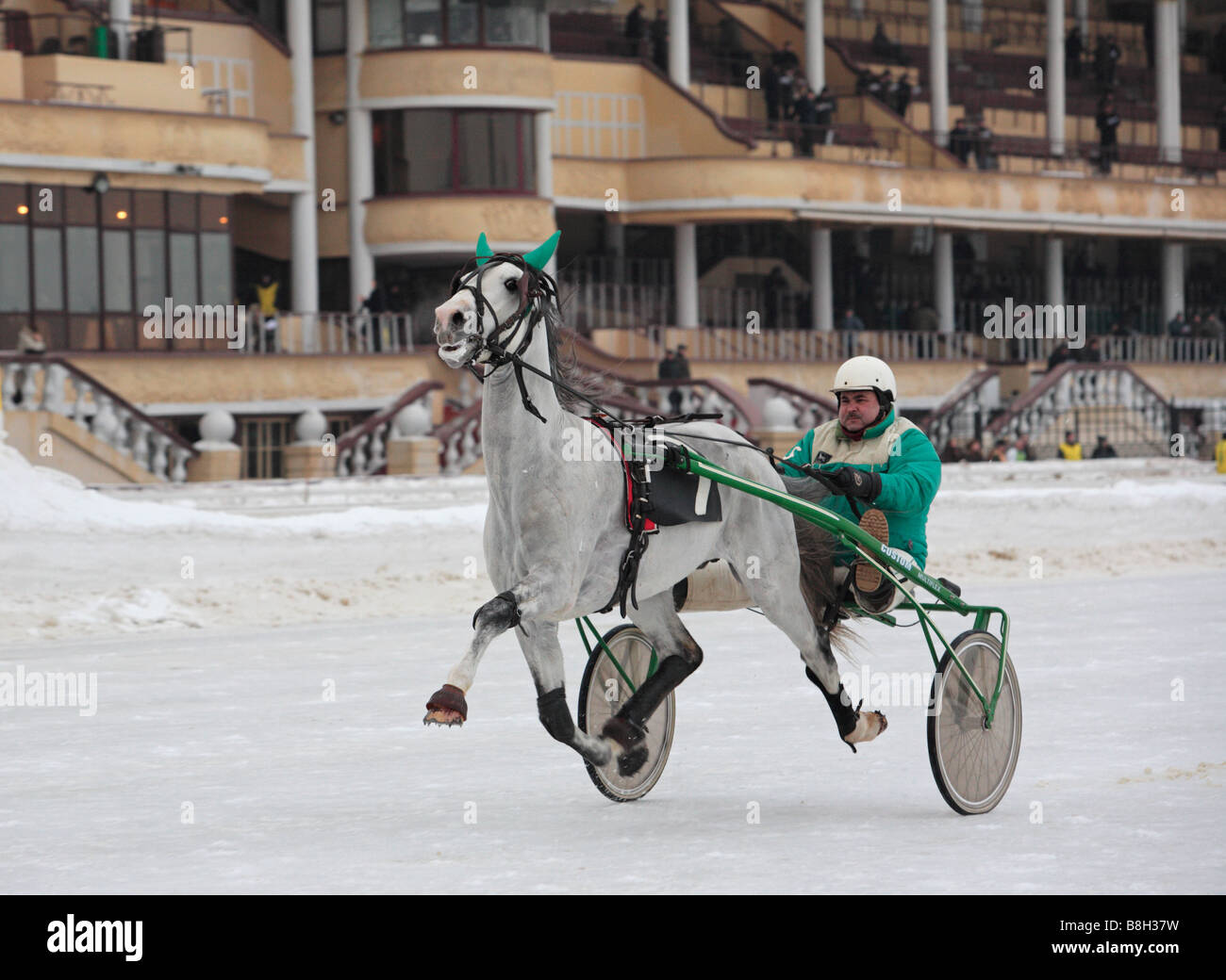 Harness trotter horse racing at Moscow, Russia Stock Photo - Alamy