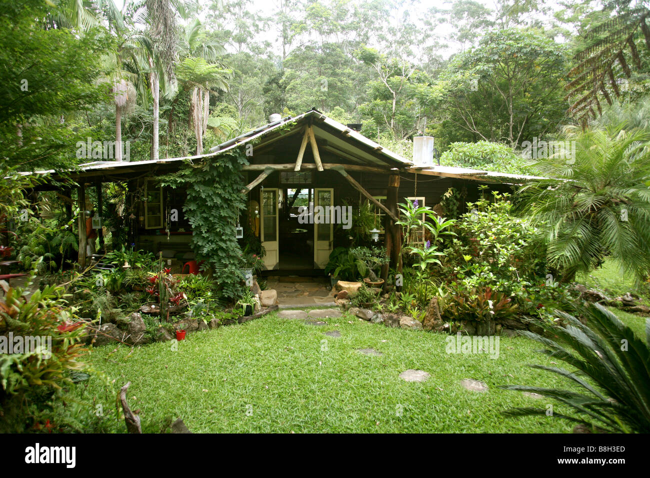 Living into the forest hi-res stock photography and images - Alamy